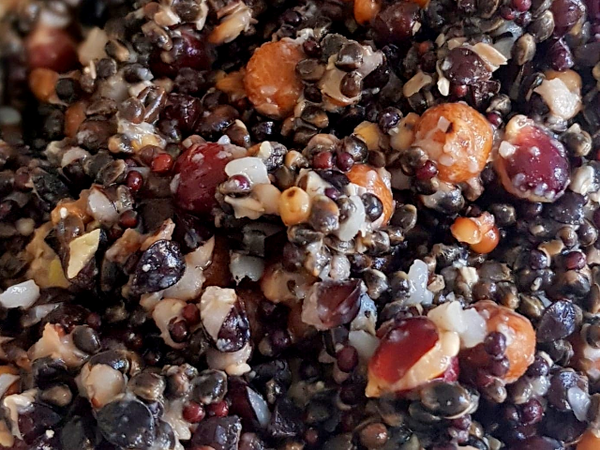 Multi Seed Mix – Big Fish Baits